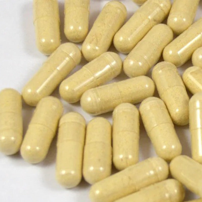 Purple Mushroom Enhanced Microdose Gummies | White Gummy – Purple Organics